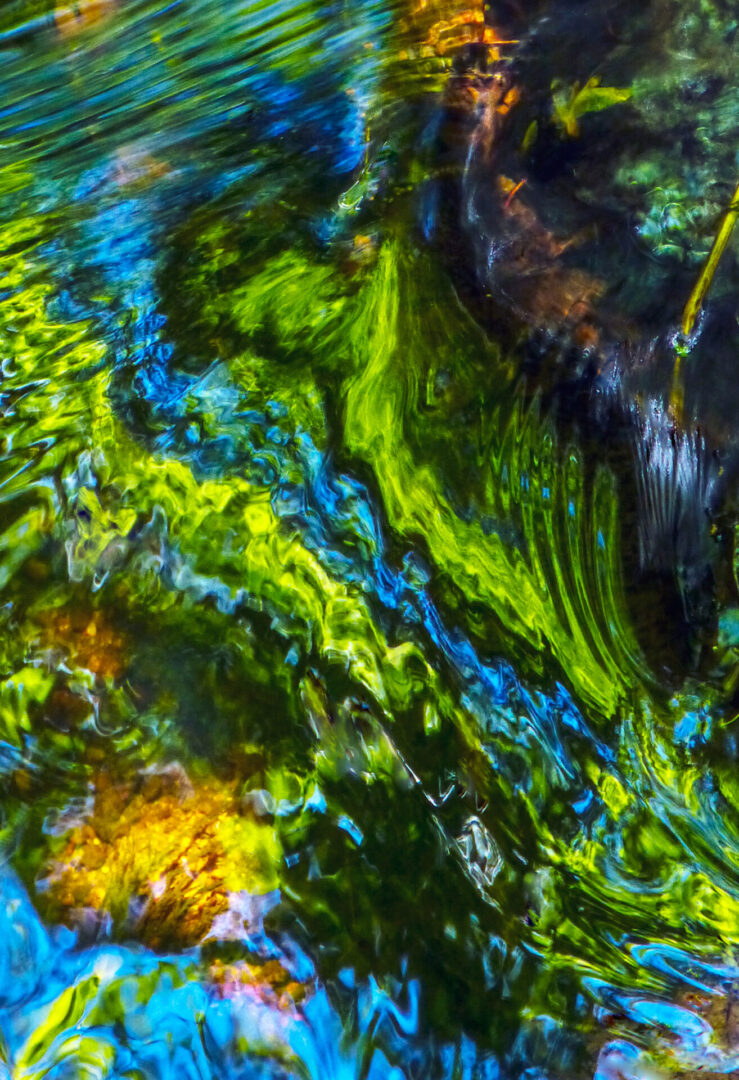 Susan Davy - WCA Woman Contemporary Artists